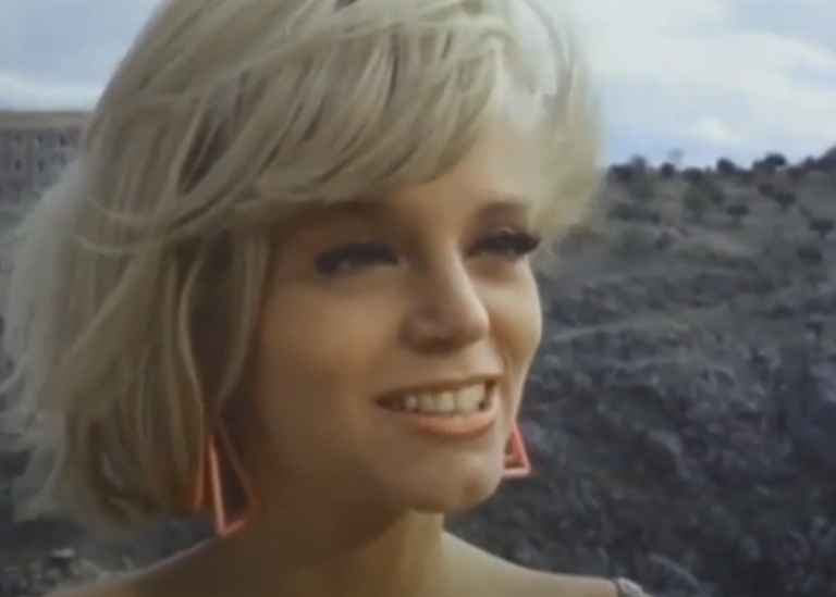 The Downfall Of Carol Wayne—And Her Heartbreaking End