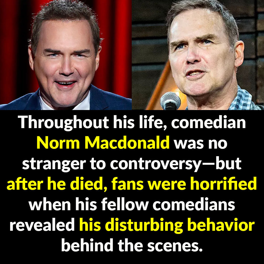 Norm Macdonald Hid A Lifetime Of Pain Behind His Controversial Jokes