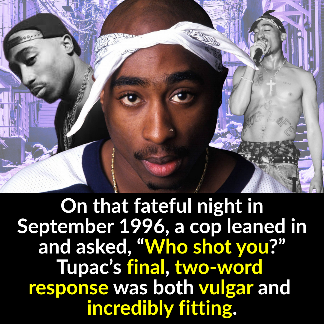 Hardcore Facts About Tupac Shakur, The Musical Martyr Of Hip Hop