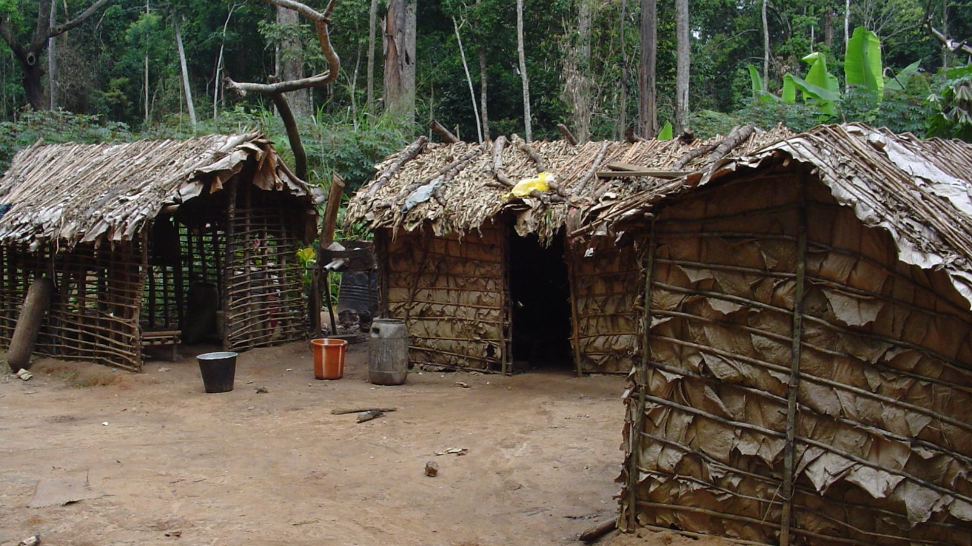 Ota Benga’s tragic story is much darker than the history books admit.