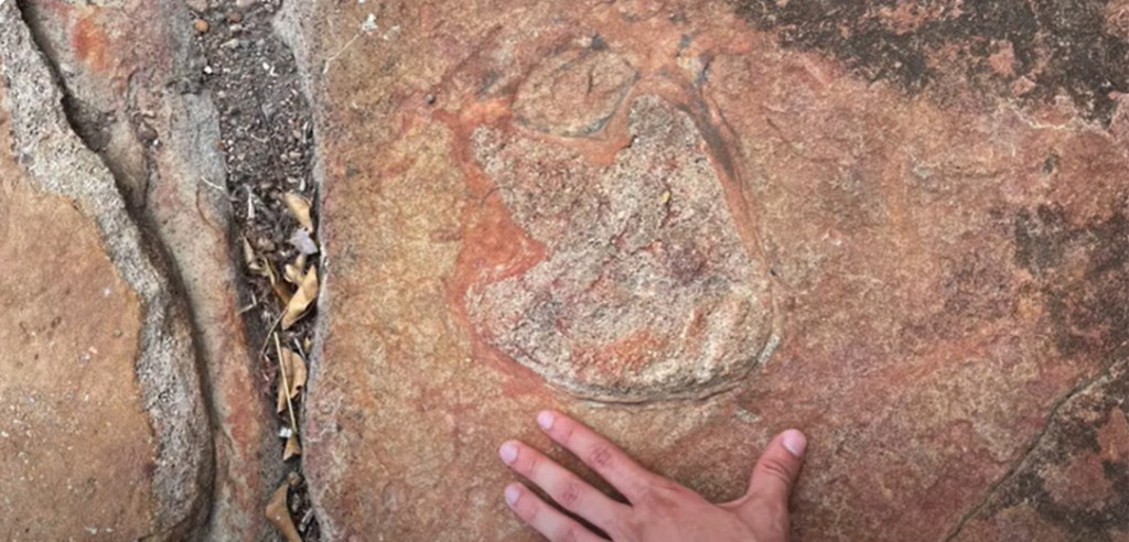 Archaeologists in Brazil found ancient engravings created by ...