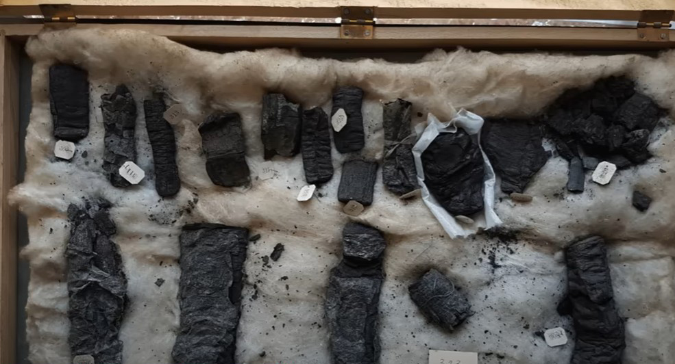 Researchers used AI to decipher ancient scrolls buried by the eruption ...