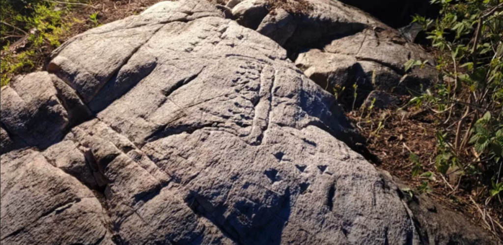 Researchers deciphered a mysterious runestone found in a forest in Canada.