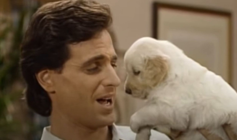 Little Known Facts About Full House