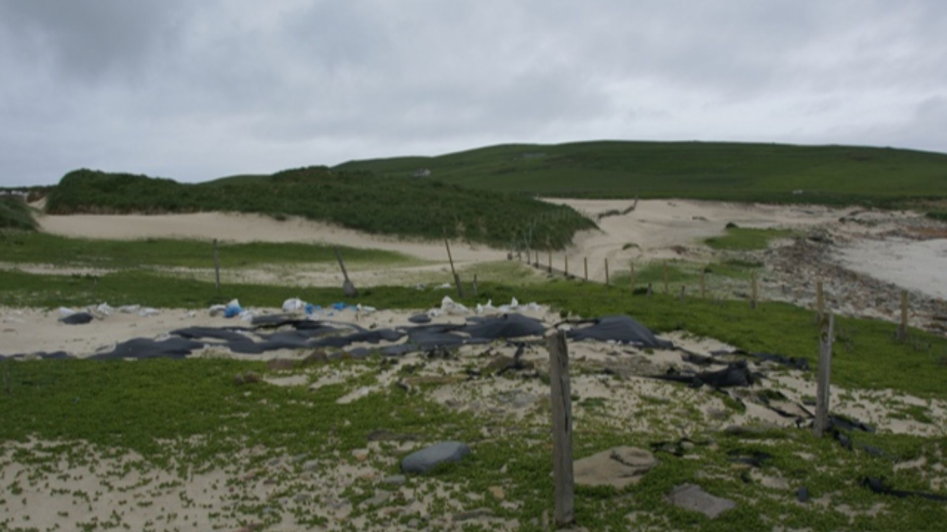 When Scottish researchers dug up the "Westray Wife," it may have looked ...