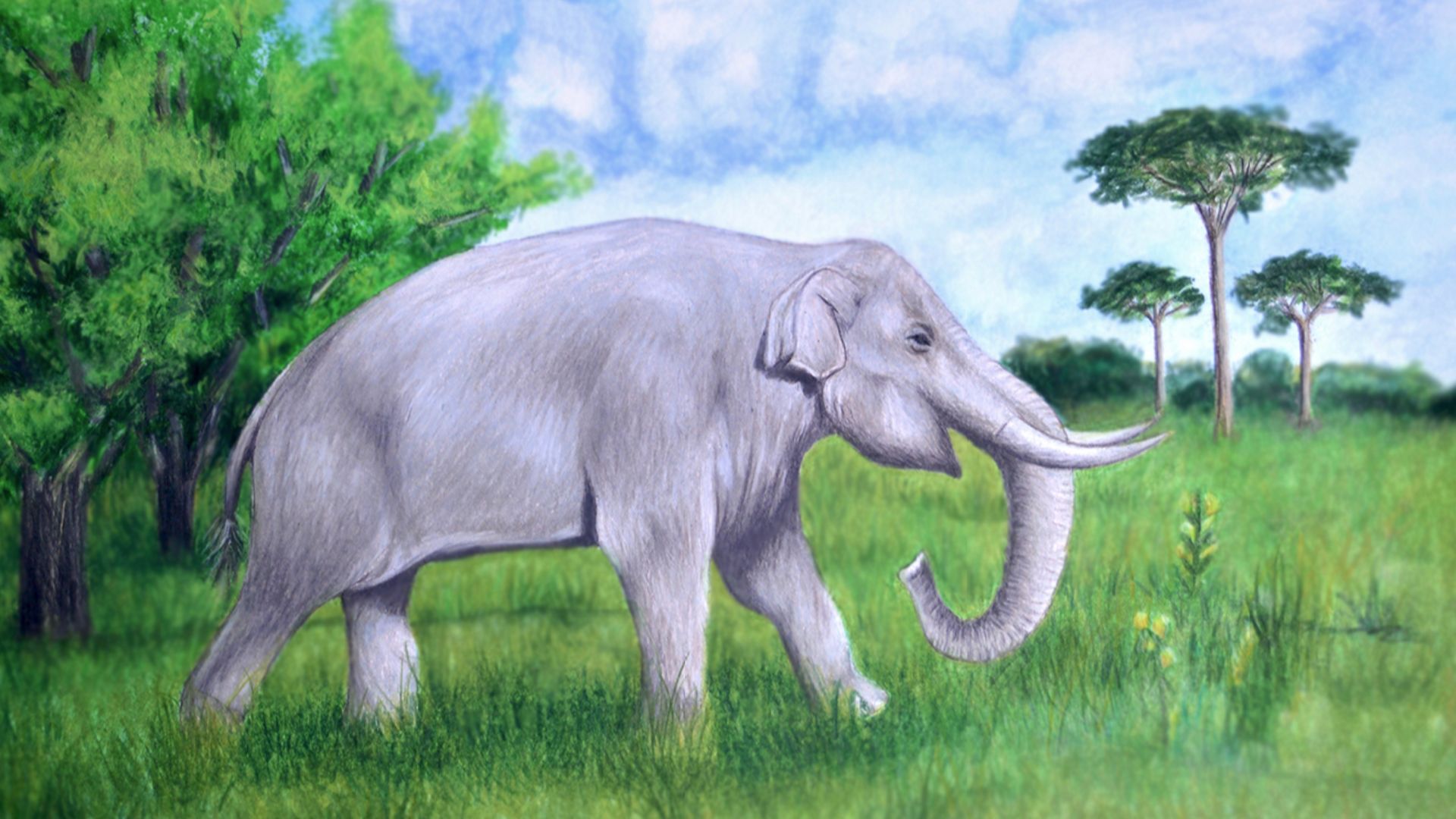 What Do Recent Ice Age Fossils Reveal About Migration In The Isthmus Of ...