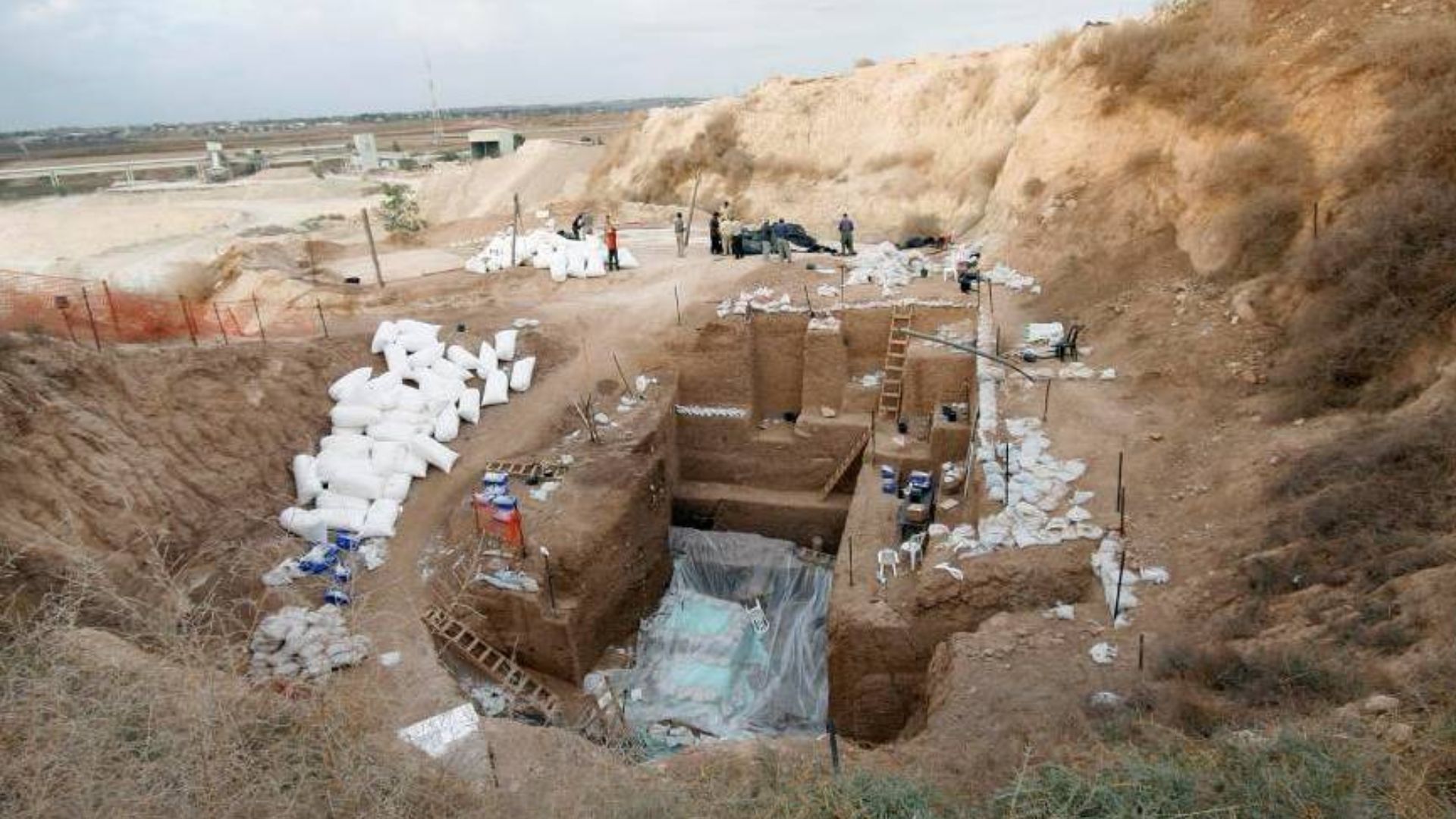 Scientists Believe They May Have Found The "Missing Link"