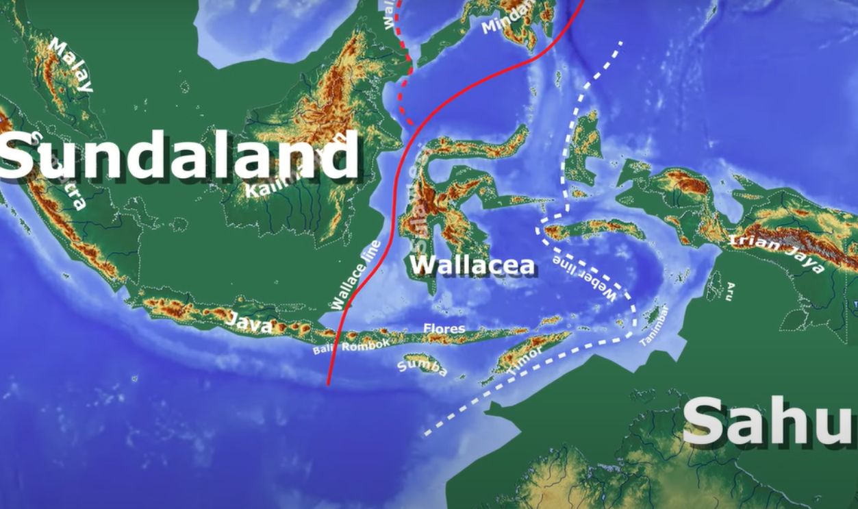 Lost Civilization Beneath The Waves Of Indonesia Reveals Ancient Secrets