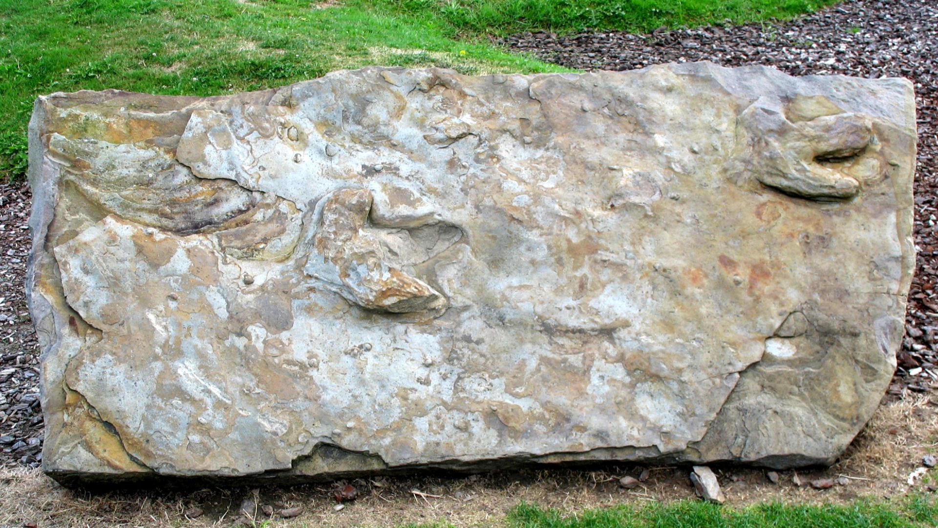 Researchers Stumble Upon Ancient Human Art In Brazil’s Rocky Dinosaur ...