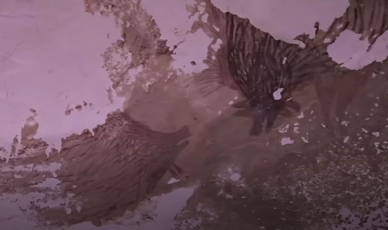 The Most Exciting New Historical Discoveries Of 2024 And 2025