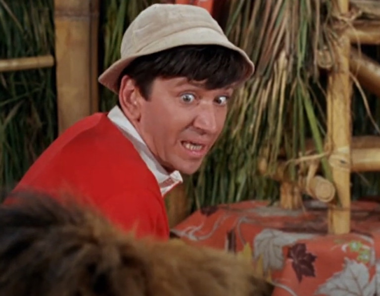 Bob Denver's Real-Life Shenanigans Were Better Than Gilligan