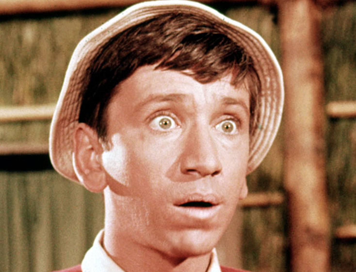 Bob Denver's Real-Life Shenanigans Were Better Than Gilligan