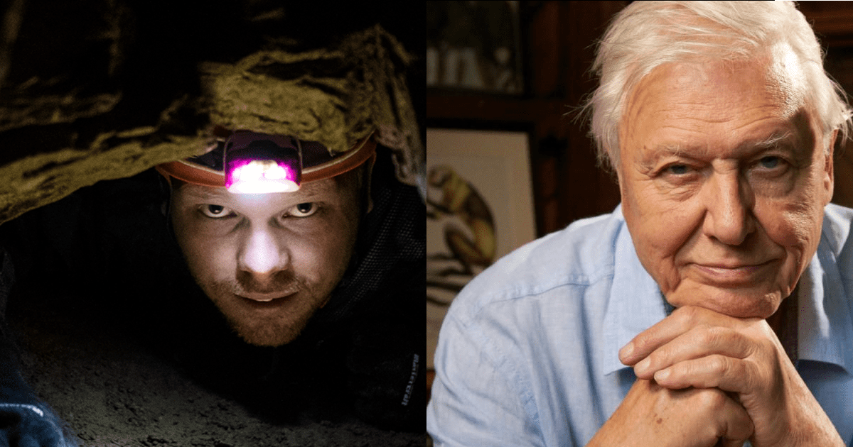 Things You Didn't Know About The Planet Earth TV Series