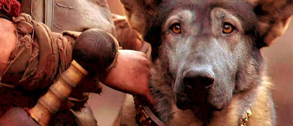 29 Entertaining Facts about Gladiator