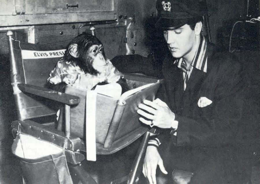 32 Hysteria Inducing Facts about Elvis Presley