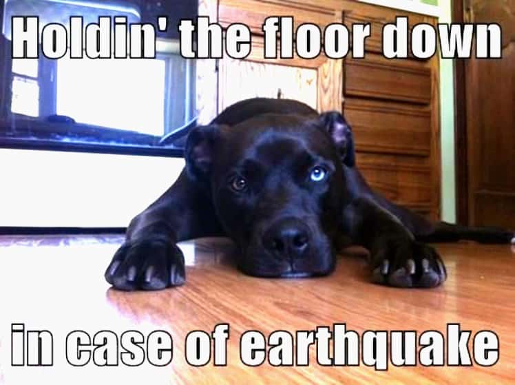 41 Earth-Shaking Facts About Natural Disasters