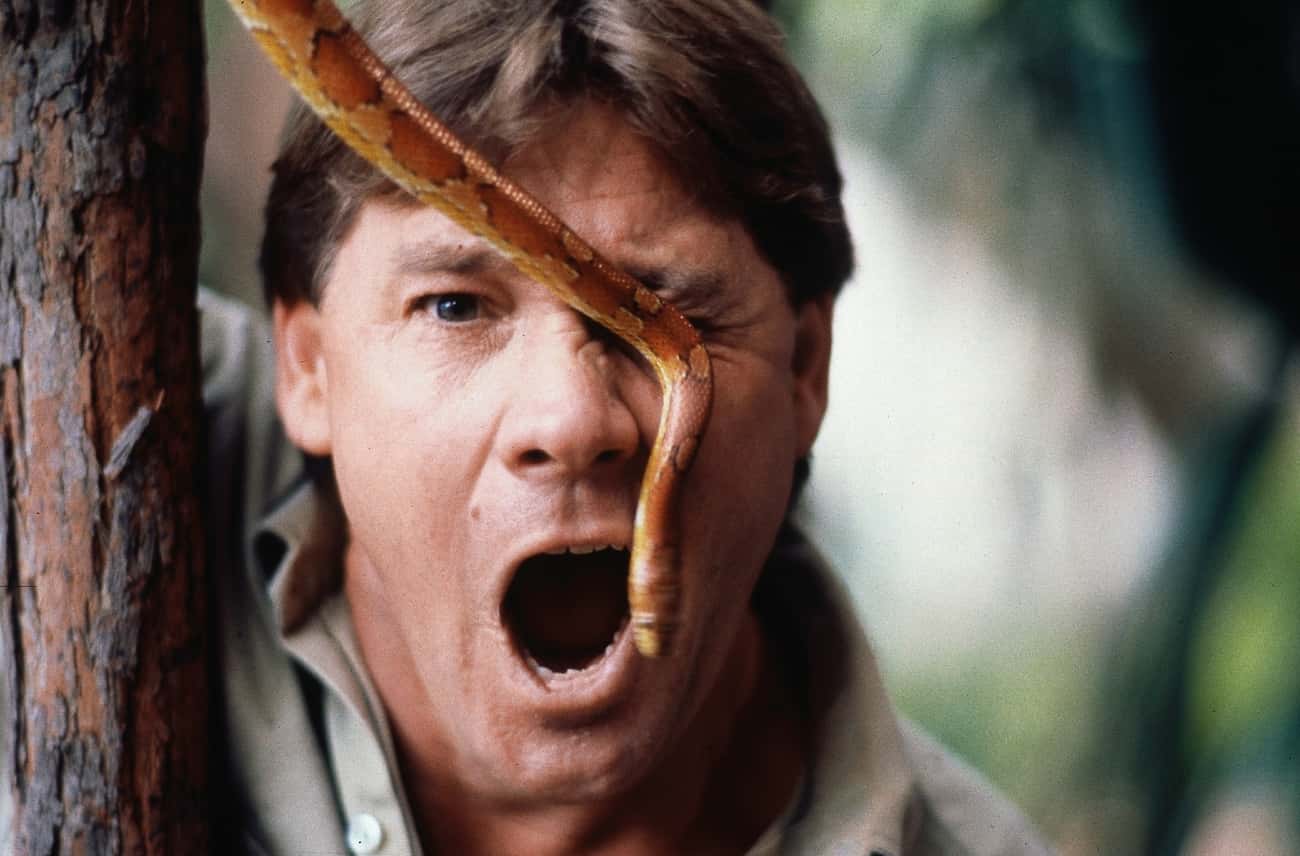 42 Wild Facts about Steve Irwin.