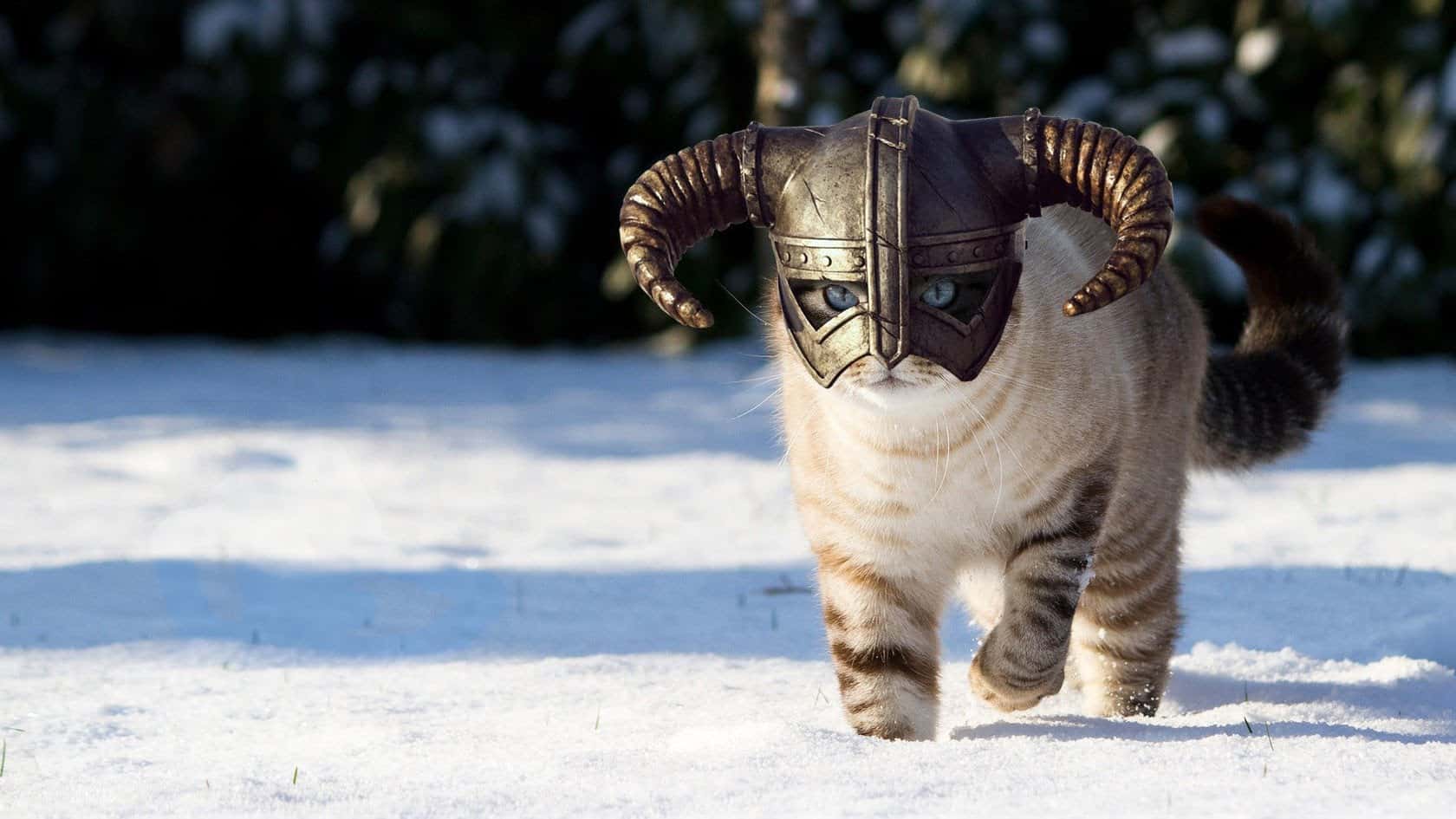 30 Facts About Vikings