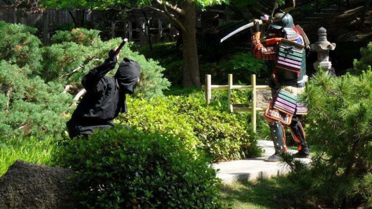 25 Sneaky Facts About Ninjas