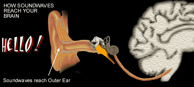 32 Wavy Facts about Sound