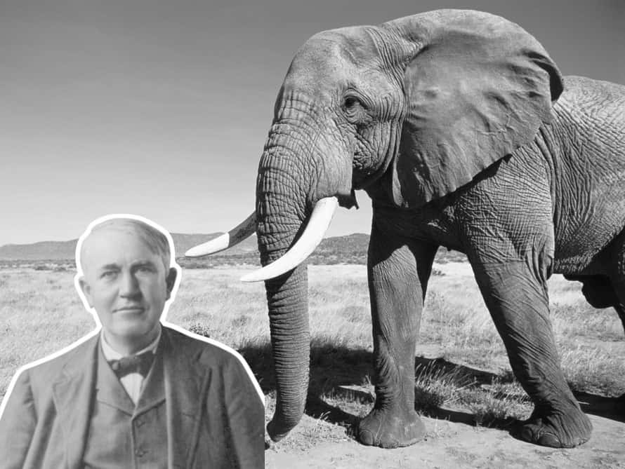 30 Electrifying Facts Facts about Nikola Tesla