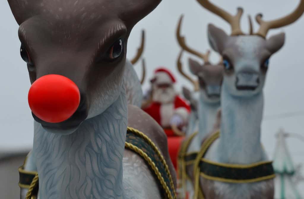 Festive Facts About Christmas