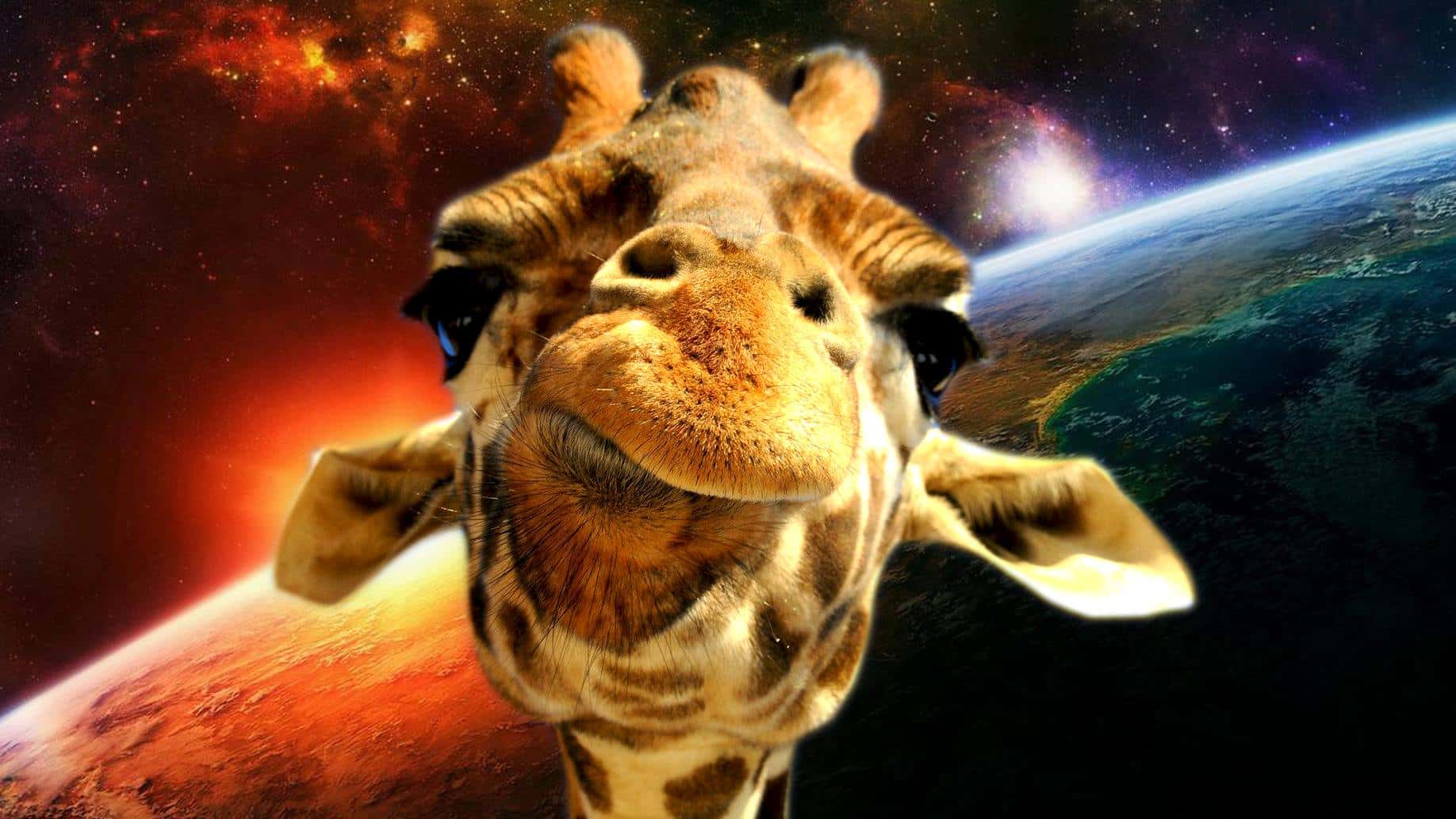 21 Out There Facts About Space Exploration 21 Out There Facts About Space Exploration
