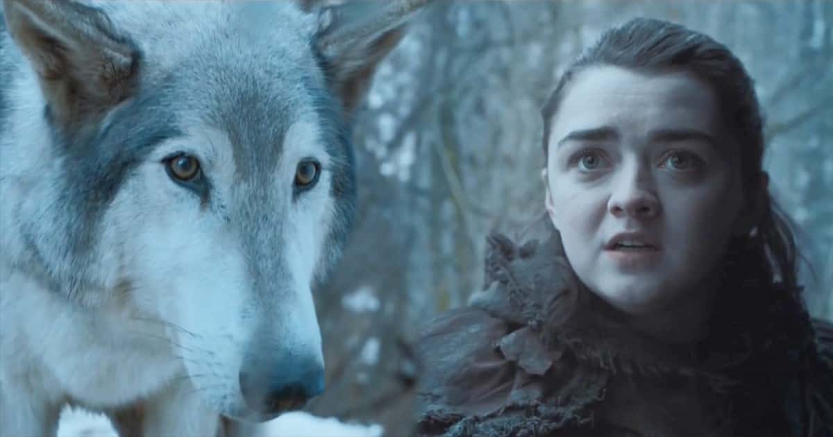 38 Fierce Facts about Arya Stark