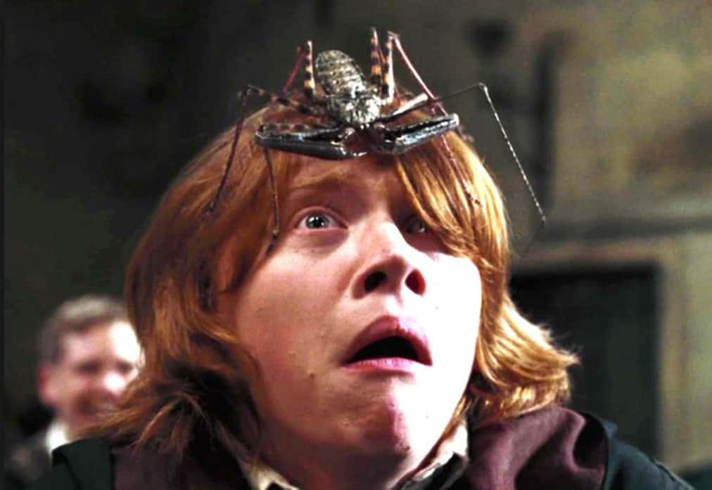 42 Spellbinding Facts About Ron Weasley
