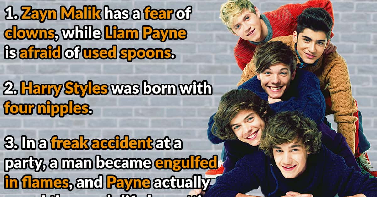 26 Beautiful Facts About One Direction