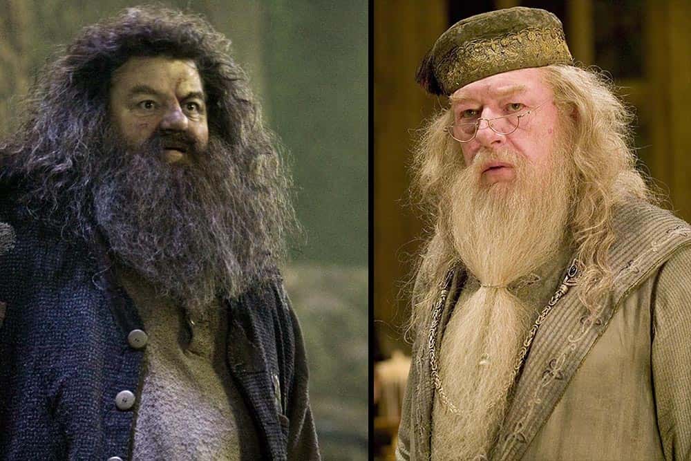 20 Larger Than Life Facts About Rubeus Hagrid
