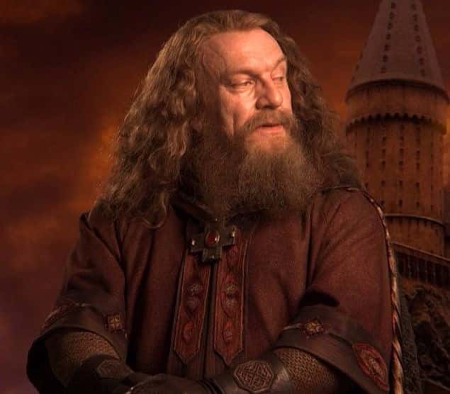 20 Brave Facts About the House of Gryffindor