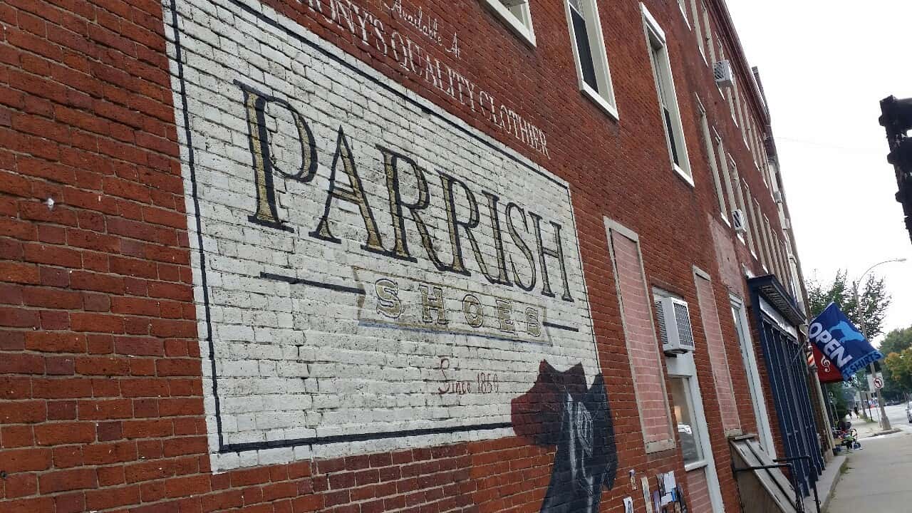 43 Tropical Facts About Jumanji