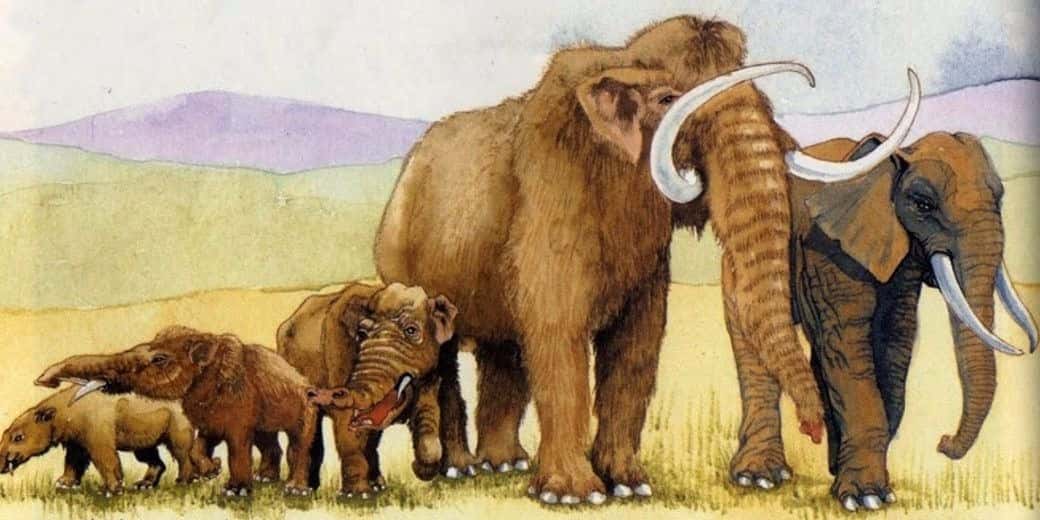 38 Adaptive Facts About Evolution