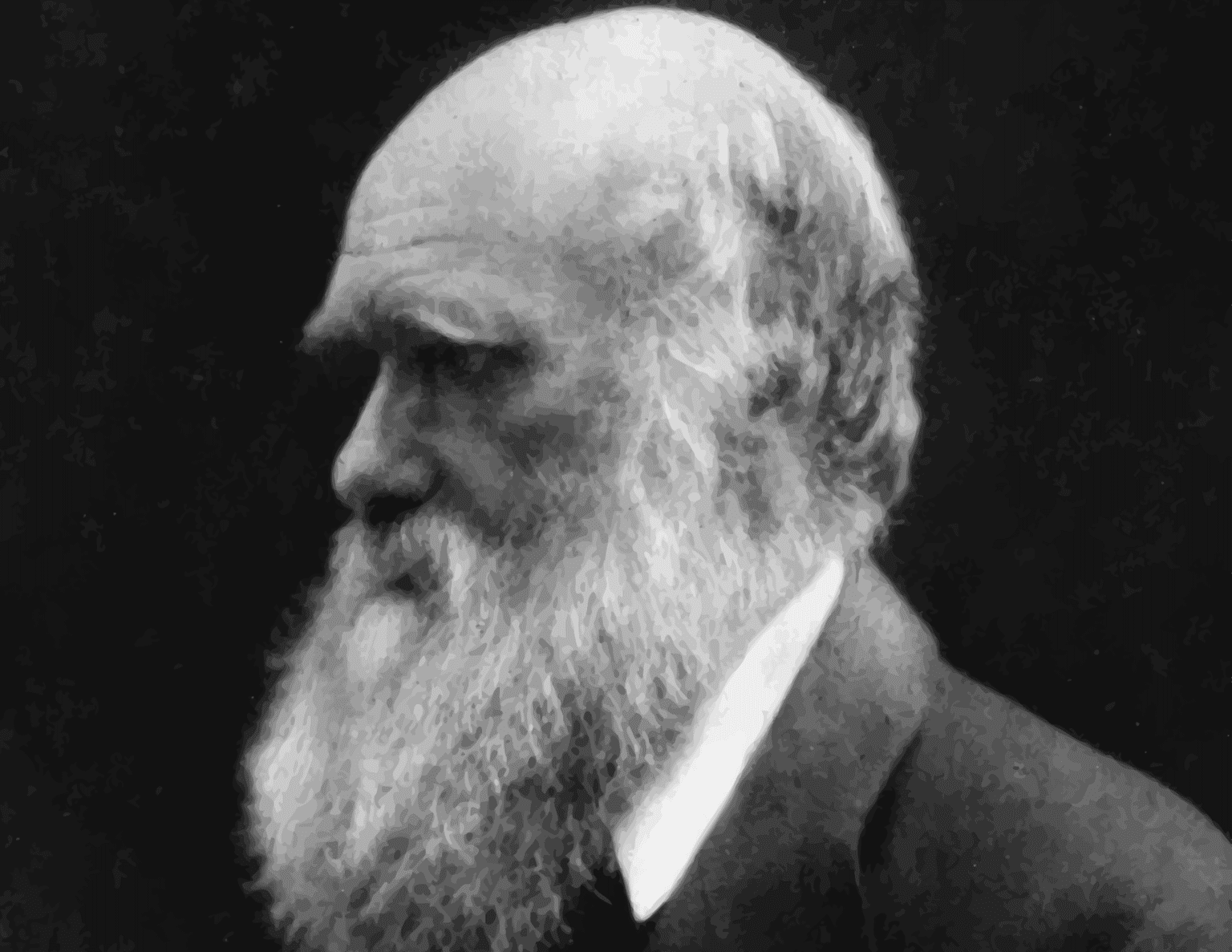 Unprecedented Facts About Charles Darwin, The Father Of Evolution