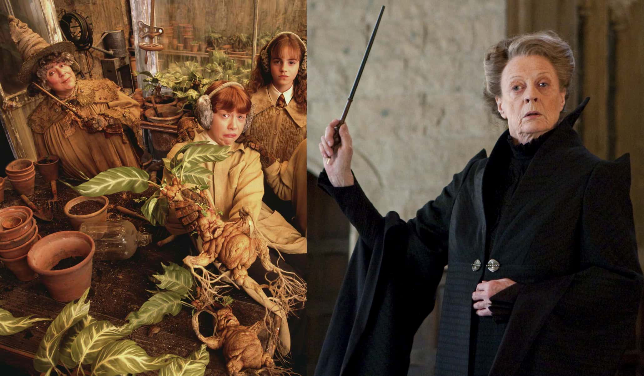 24 Transfigured Facts About Professor Minerva McGonagall
