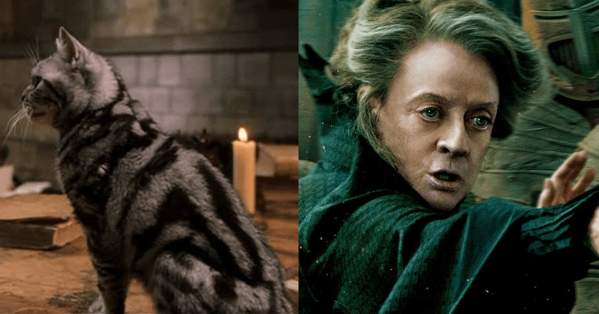 21 Scholarly Facts About Beloved Hogwarts Professors