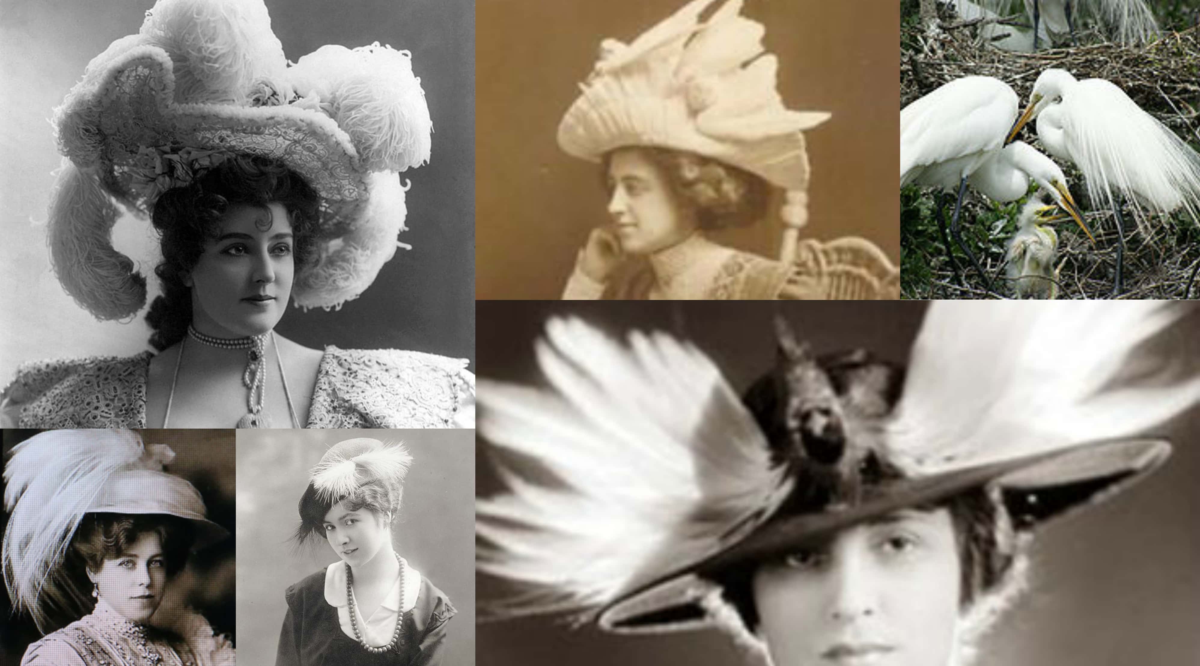 42 Stylish Facts About Fashion in History