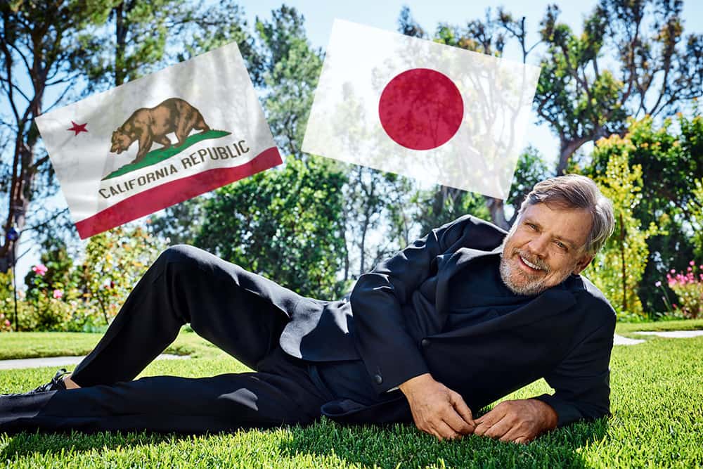 24 Forceful Facts About Luke Skywalker