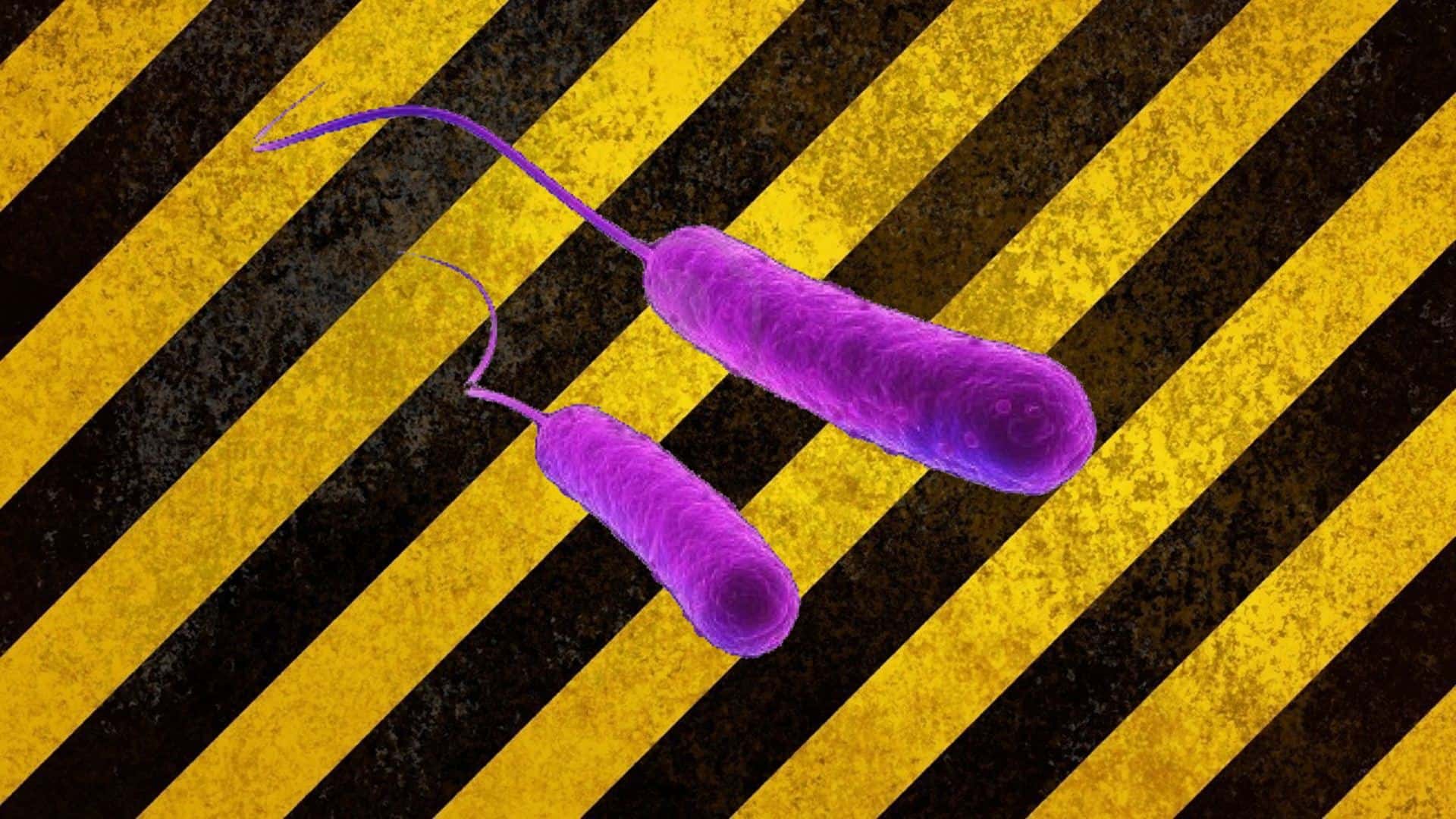 42 Pandemic Facts About Cholera