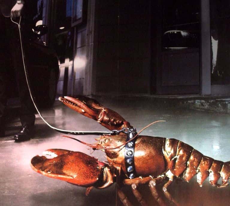 25 Strange Facts About Eccentric Artists