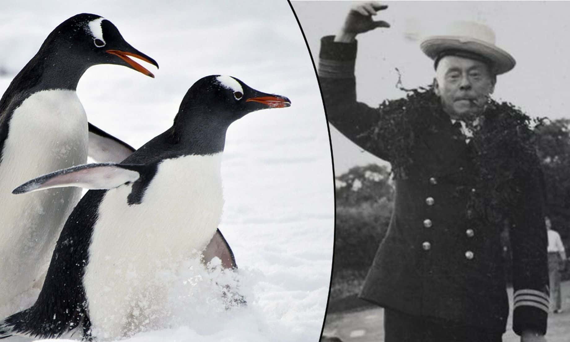 39 Perilous Facts About Polar Exploration