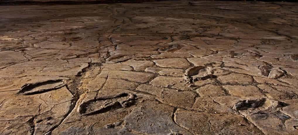 42 Adventurous Facts About The Lewis And Clark Expedition