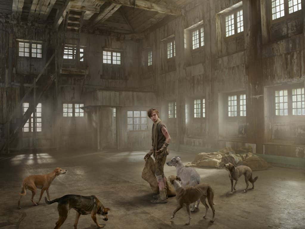 Remarkable Facts About Feral Children