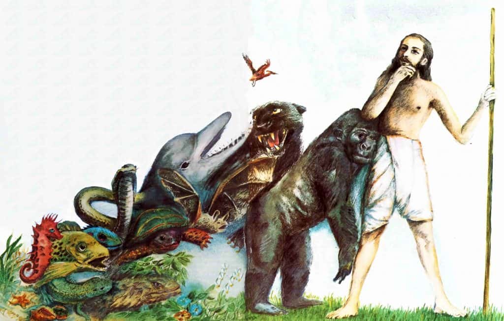 Remarkable Facts About Feral Children