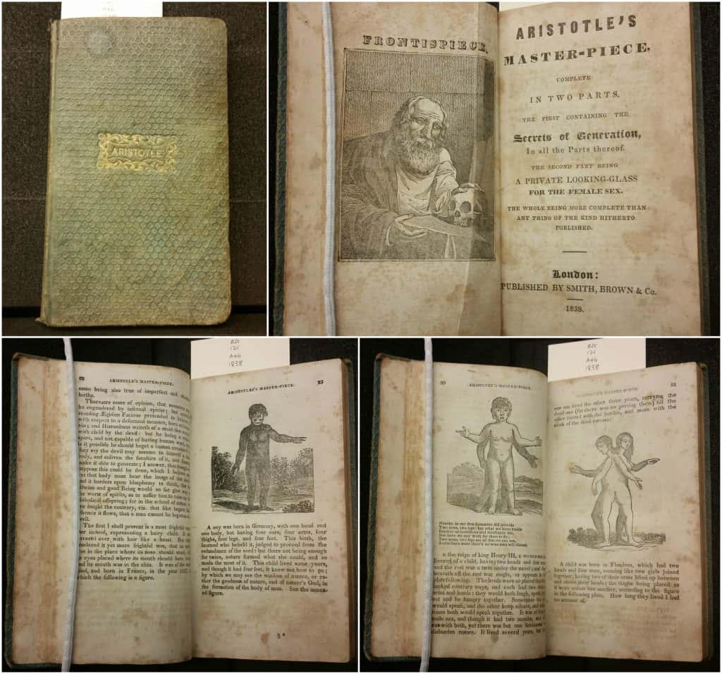 42 Ancient Facts About Aristotle