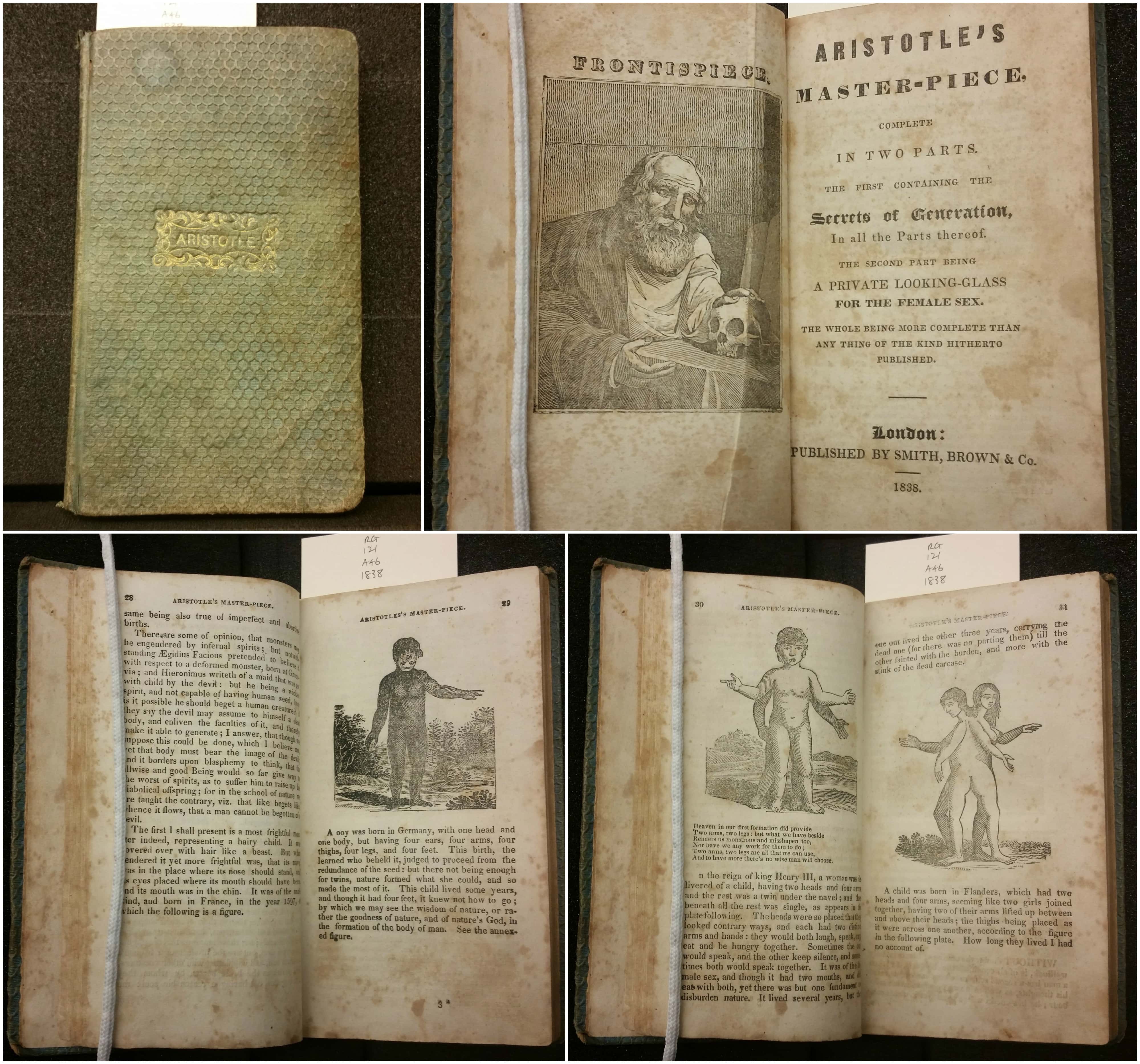 42 Ancient Facts About Aristotle