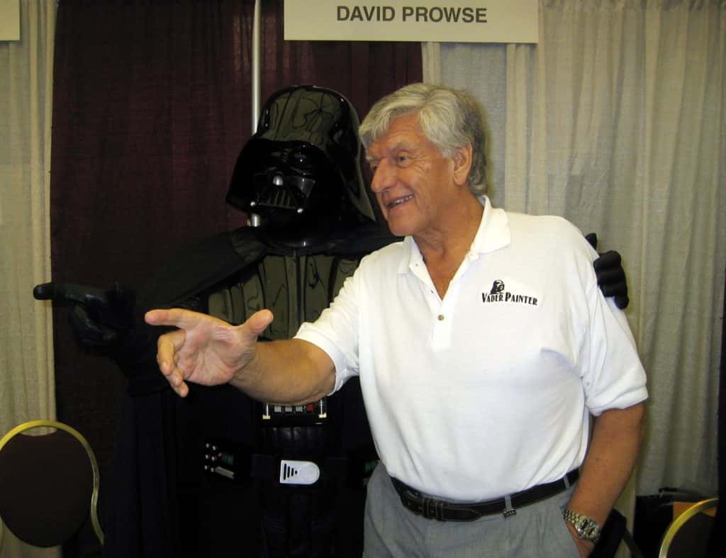 Cuddly Facts About Chewbacca