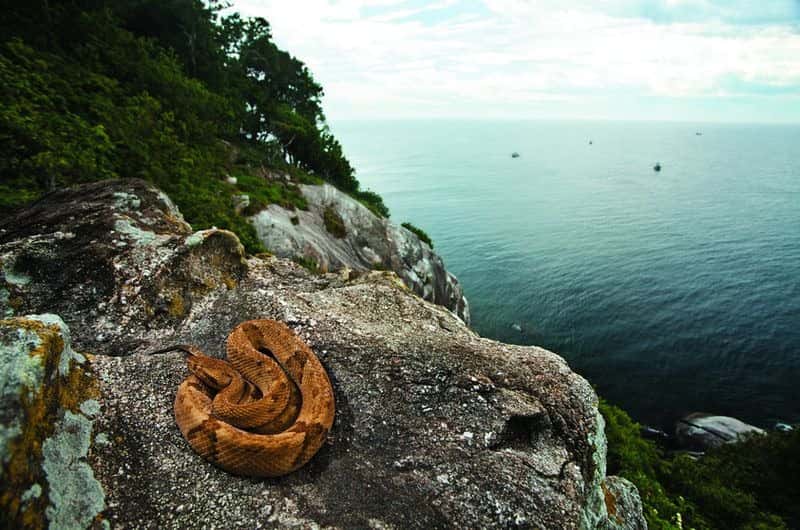 Daring Facts About The Most Dangerous Places In The World Daring Facts About The Most Dangerous Places In The World