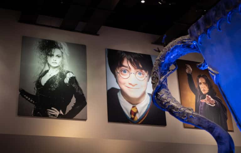 Chilling Facts About Bellatrix Lestrange